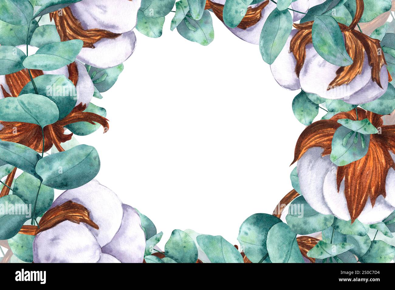 Dry cotton bolls and eucalyptus branches. Rectangular frame, blank ...