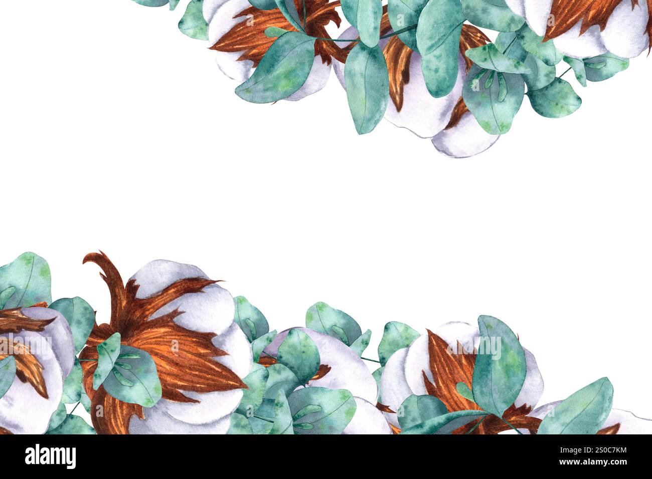 Dry cotton bolls and eucalyptus branches. Rectangular frame, blank ...