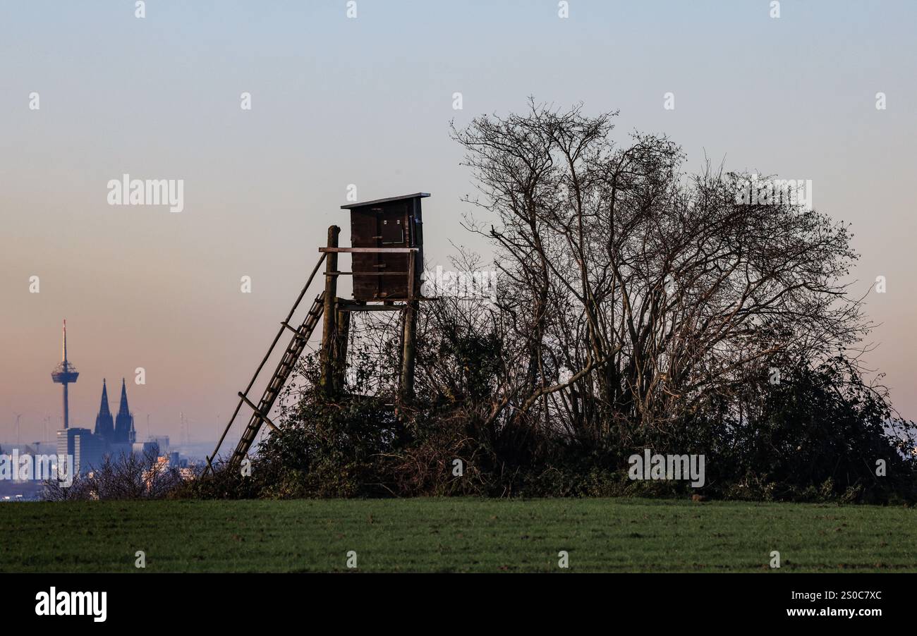 Lohmar, Germany. 27th Dec, 2024. From the Scheiderhöhe, the cathedral ...