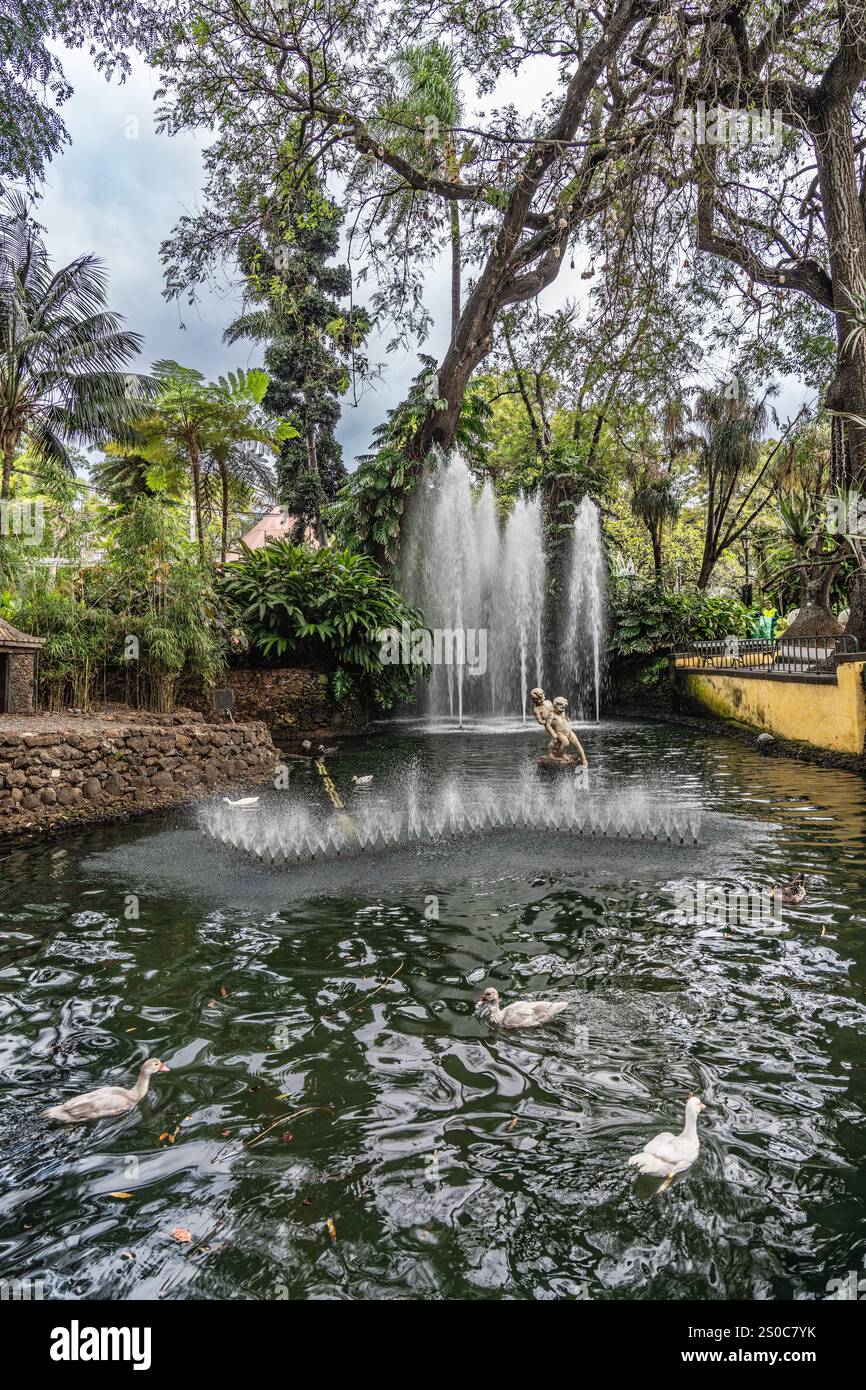 Serene pond setting featuring beautiful water fountains, a statue ...