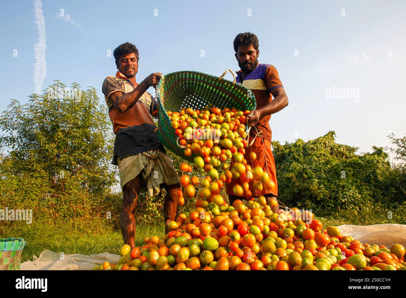 Halisahar sea coast area of Bangladesh this year due to favorable ...