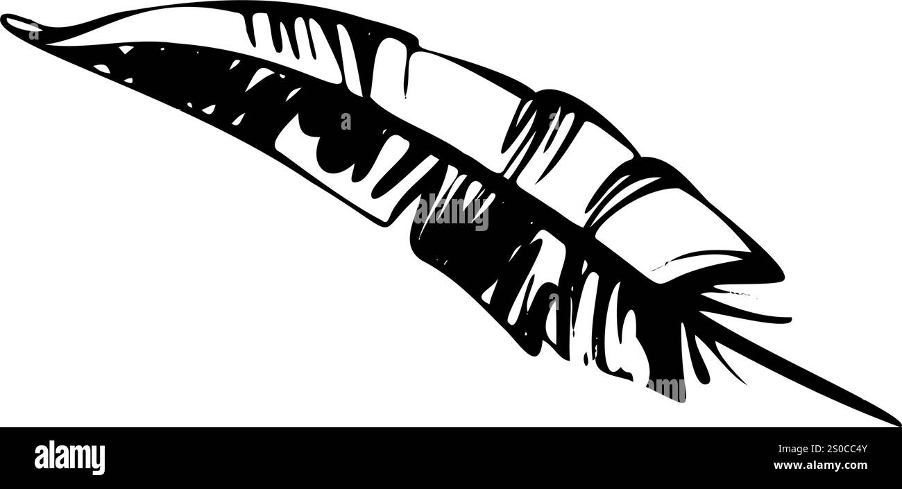 Feather Pen Vector Illustration Stock Vector Image & Art - Alamy