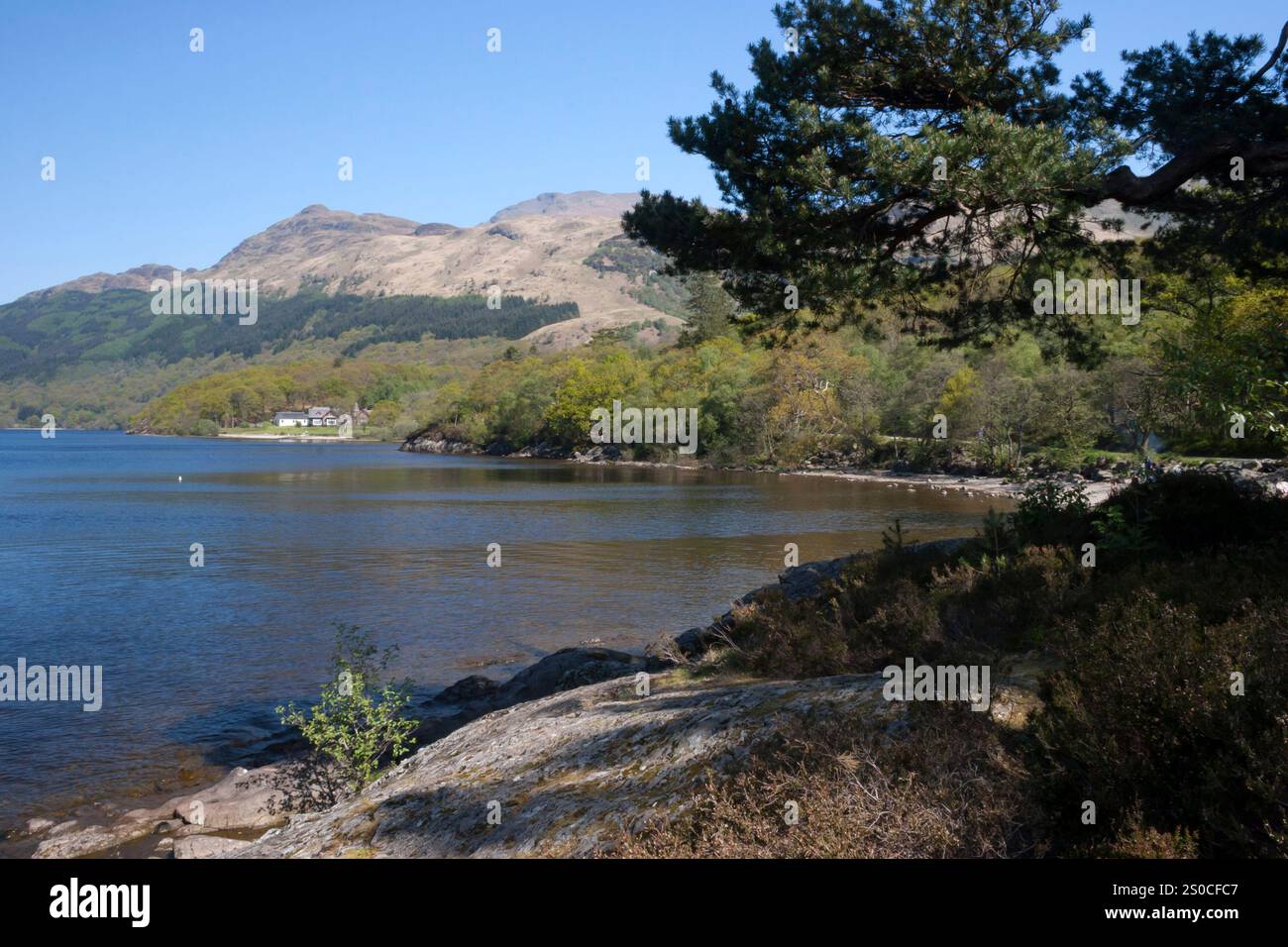 Rowardennan hi-res stock photography and images - Alamy