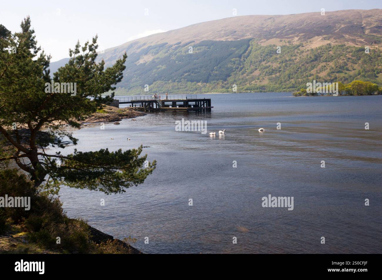 Loch Lomond from Rowardennan, Scotland Stock Photo - Alamy