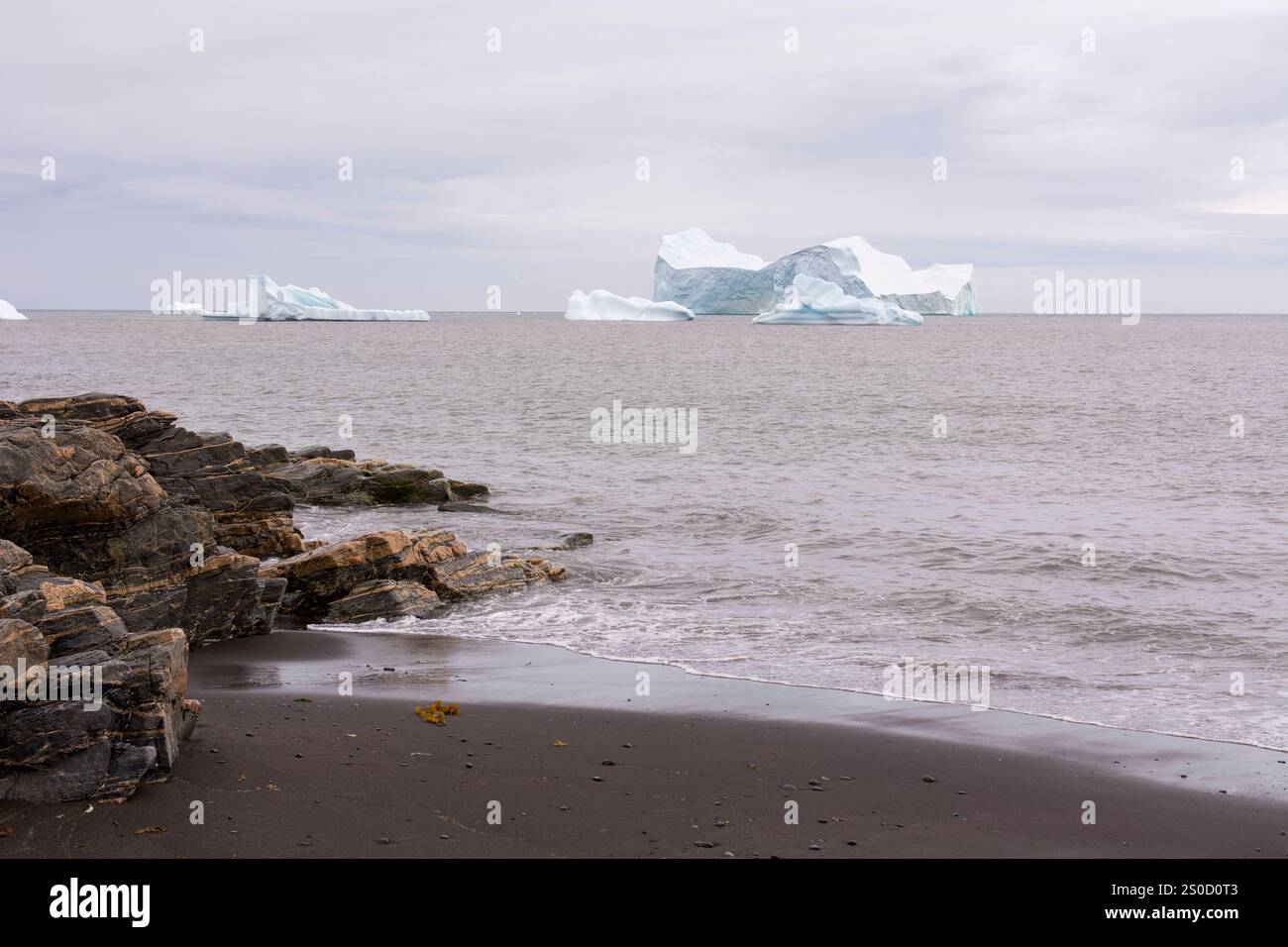 This striking image showcases a beach in Greenland with black sand ...
