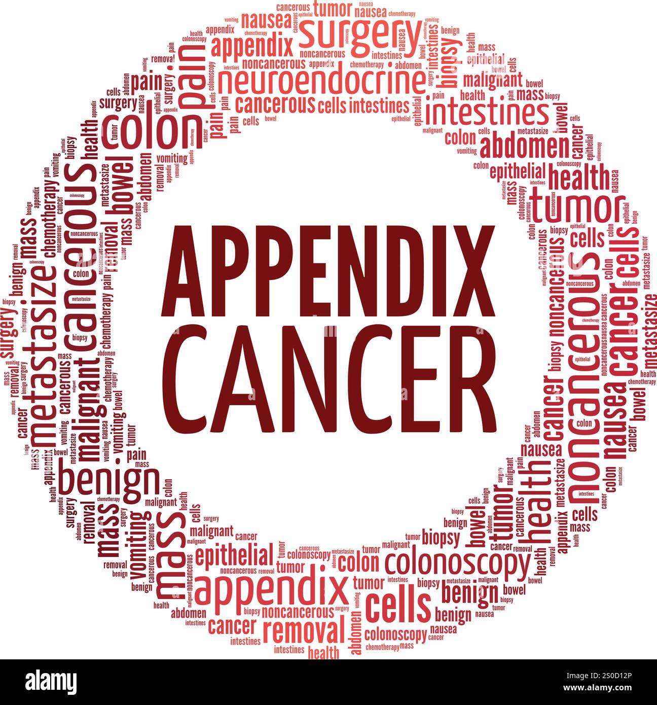 Appendix Cancer word cloud conceptual design isolated on white ...