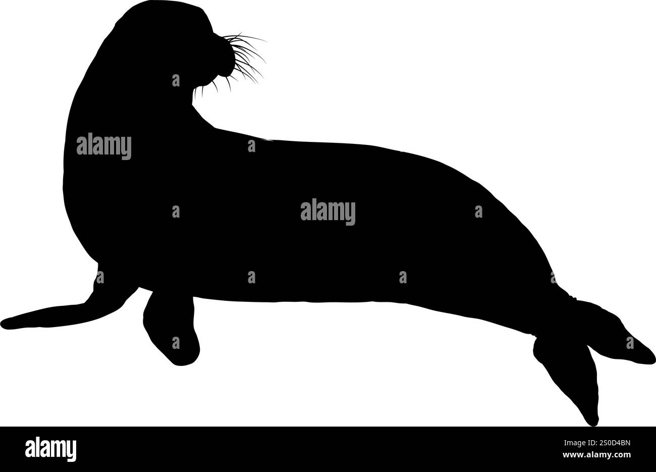 Seal silhouette - vector illustration Stock Vector Image & Art - Alamy