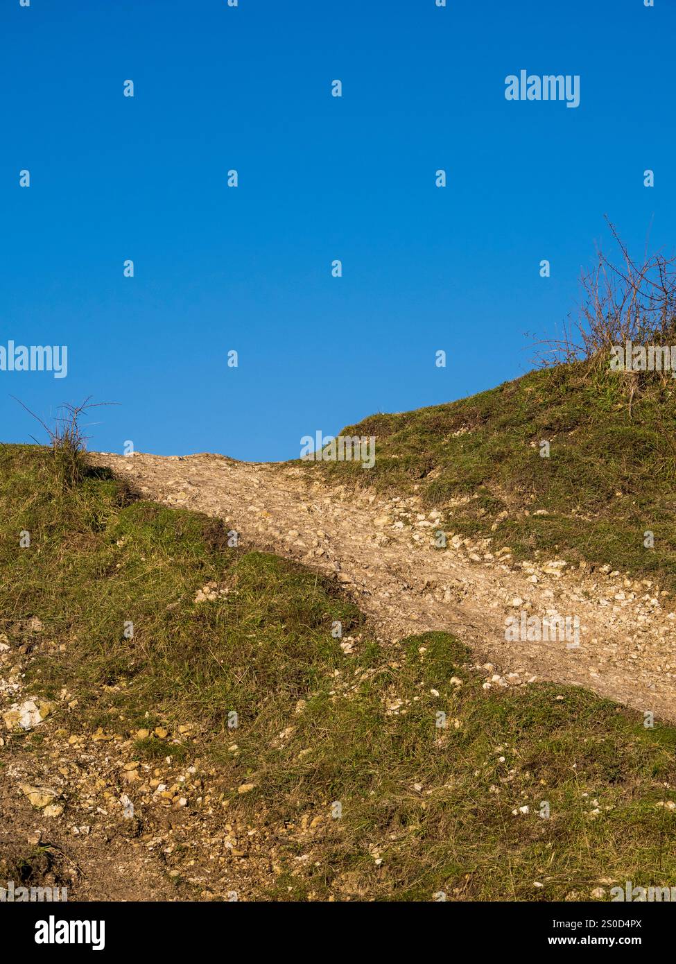 St Catherines Hill, Iron Age Hill Fort, Ramparts, Hampshire, England ...