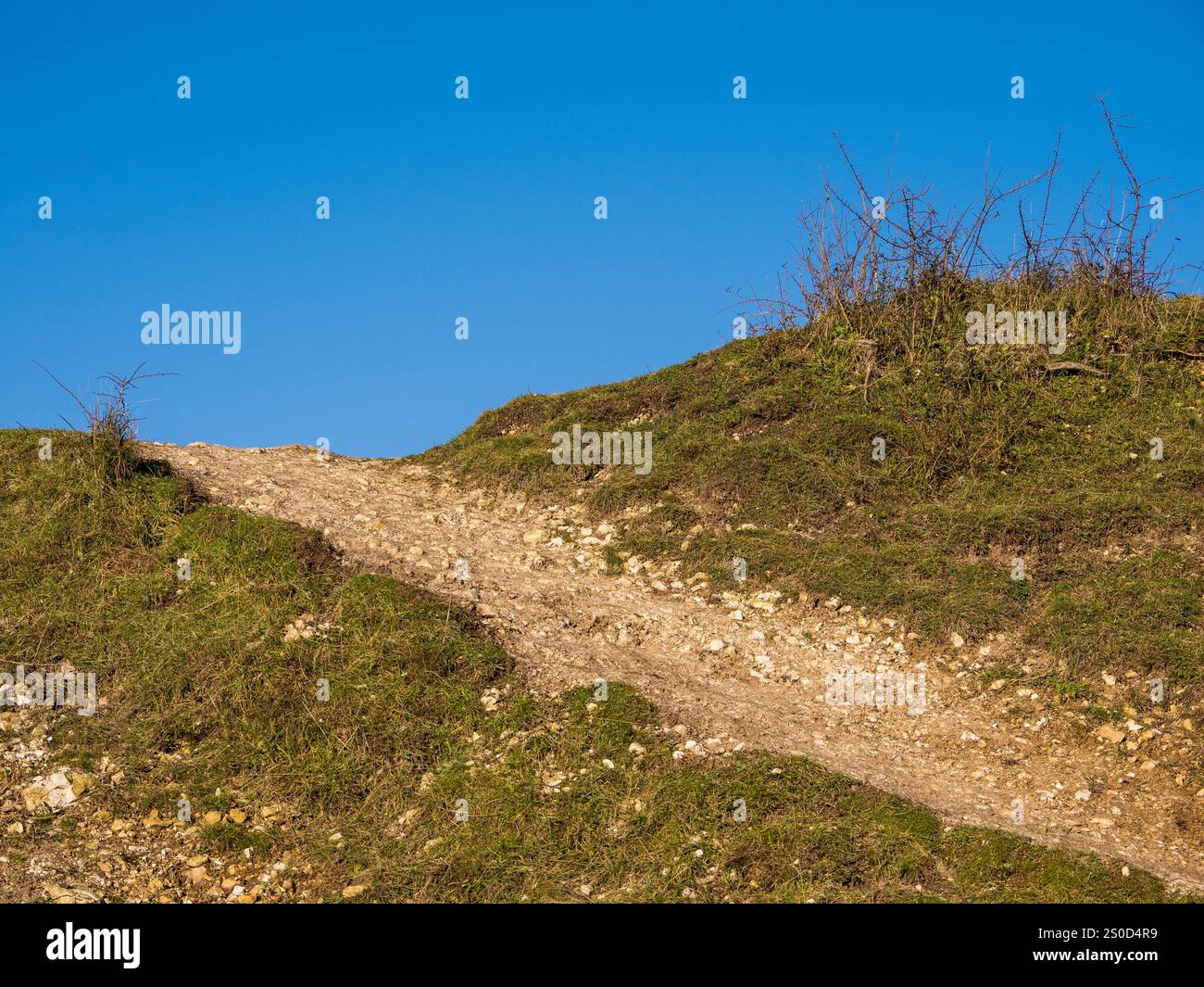 St Catherines Hill, Iron Age Hill Fort, Ramparts, Hampshire, England ...