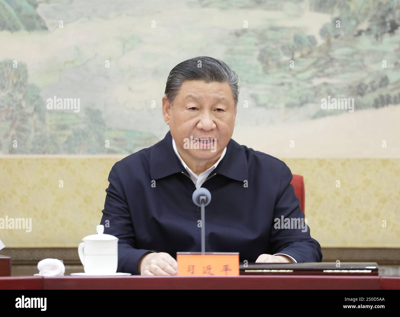 Beijing, China. 27th Dec, 2024. Xi Jinping, general secretary of the ...