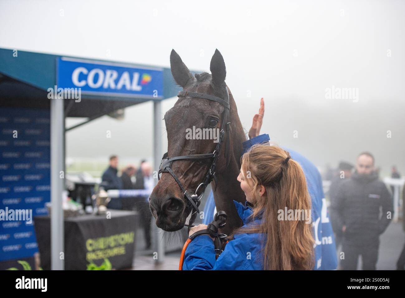 Coral welsh national 2024 hi-res stock photography and images - Alamy