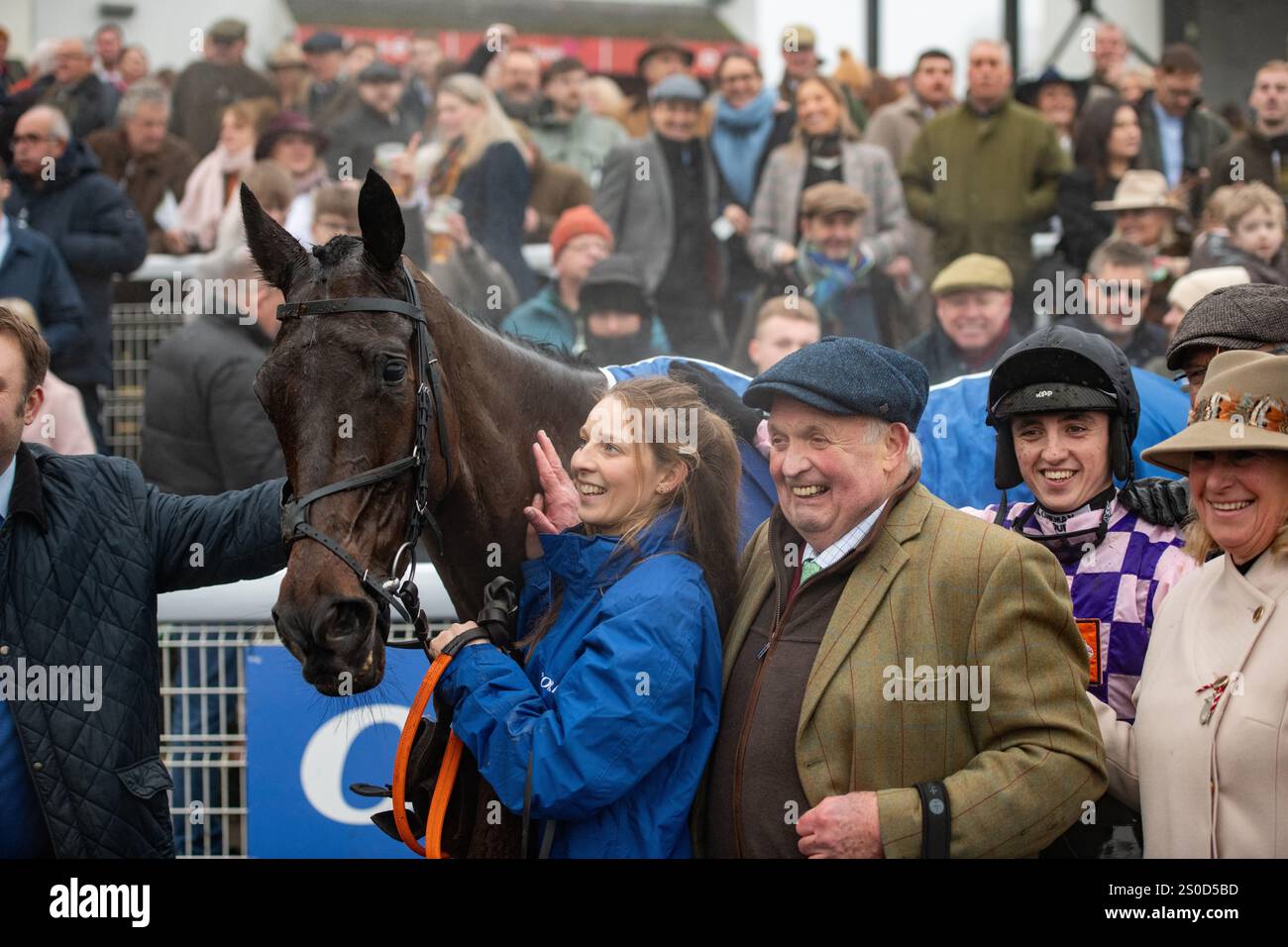 Coral welsh national 2024 hi-res stock photography and images - Alamy