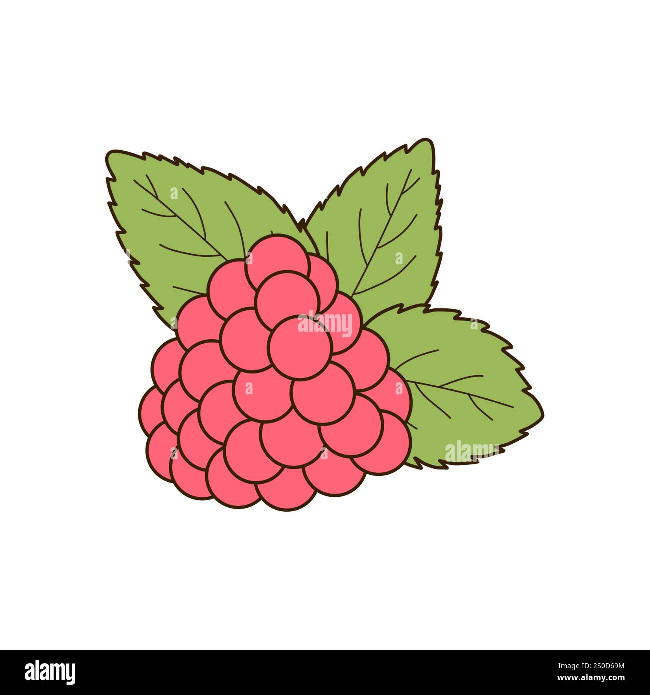Juicy Raspberry with mint leaves on a white background. Vector ...