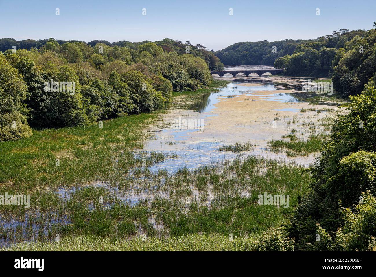 Bosherston lilly pond hi-res stock photography and images - Alamy