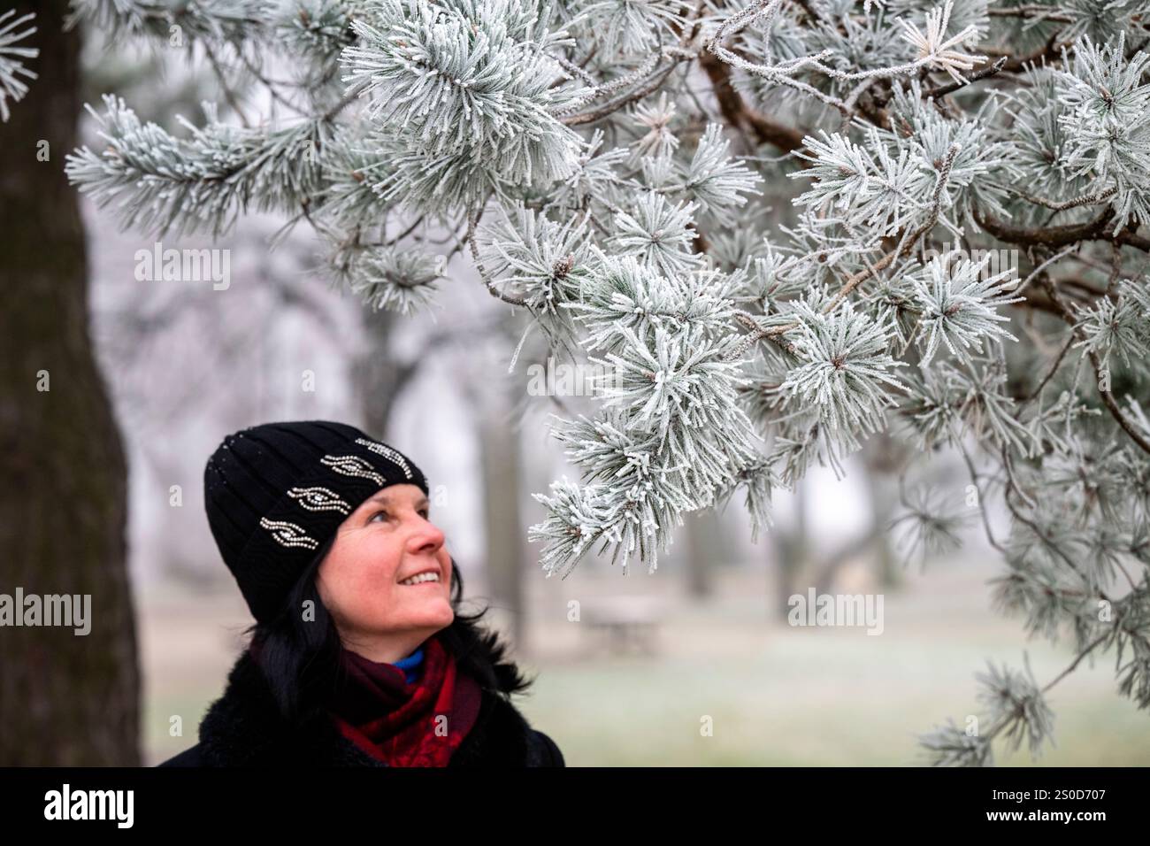 A woman looks at pine needles in Letenske sady in foggy and frosty ...