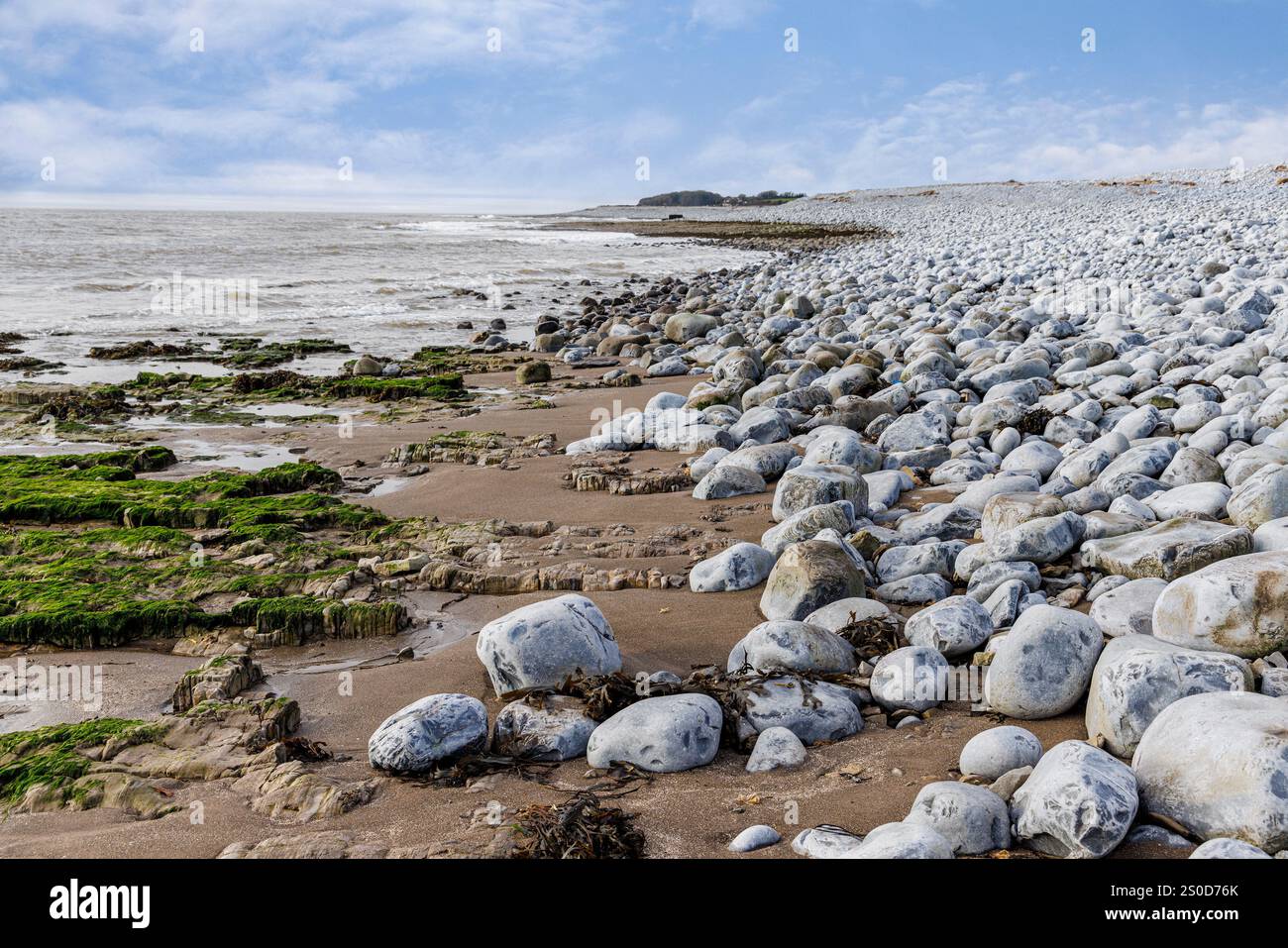 Large beach cobbles, Limpert Bay, Aberthaw, Wales, UK Stock Photo - Alamy
