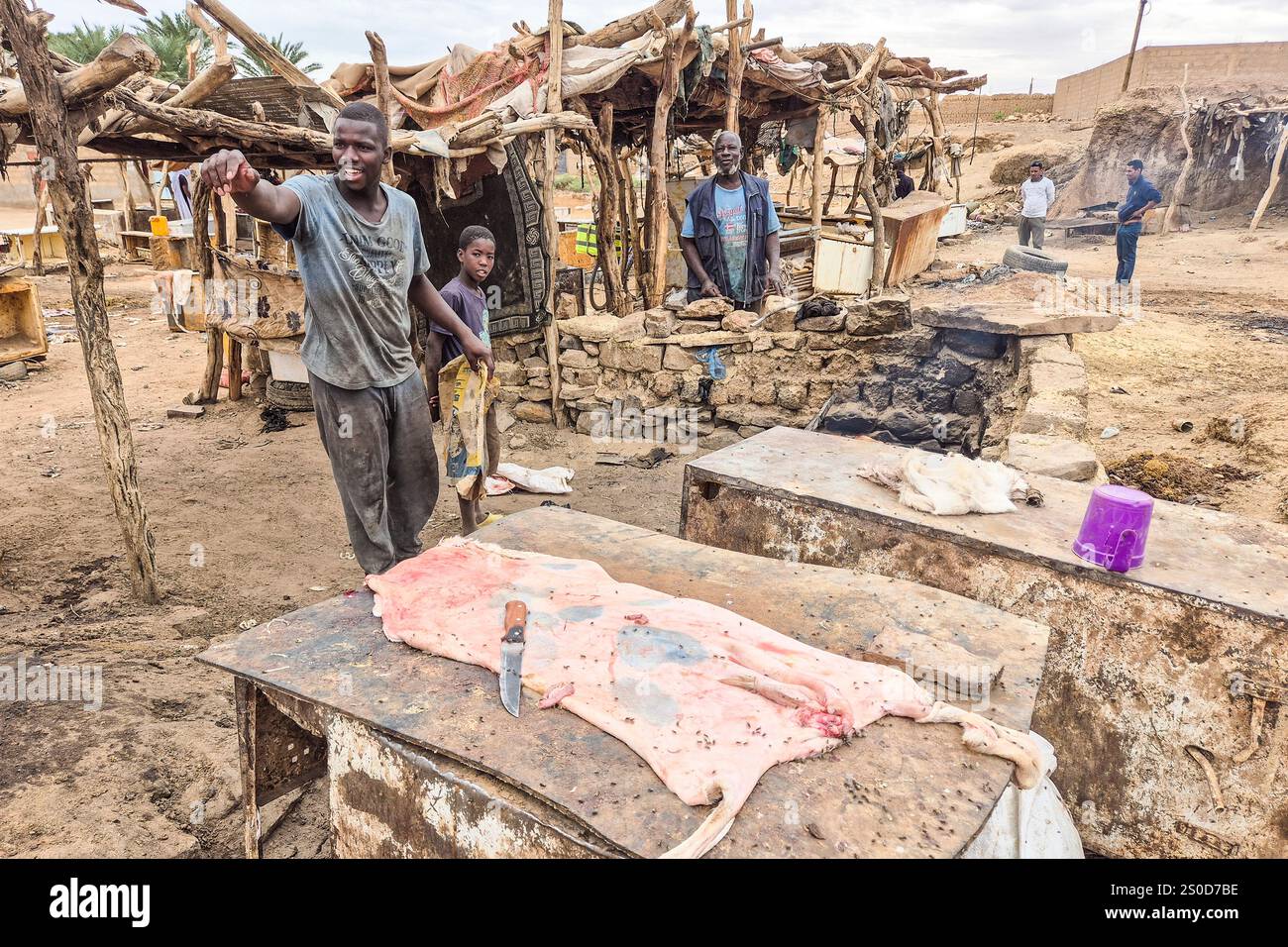 Mauritania, Atar, goat market, goat slaughter Stock Photo - Alamy