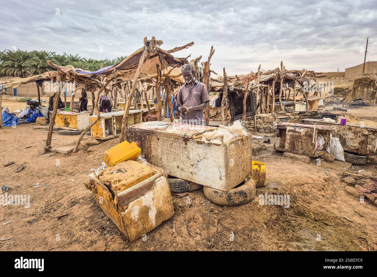 Mauritania, Atar, goat market, goat slaughter Stock Photo - Alamy