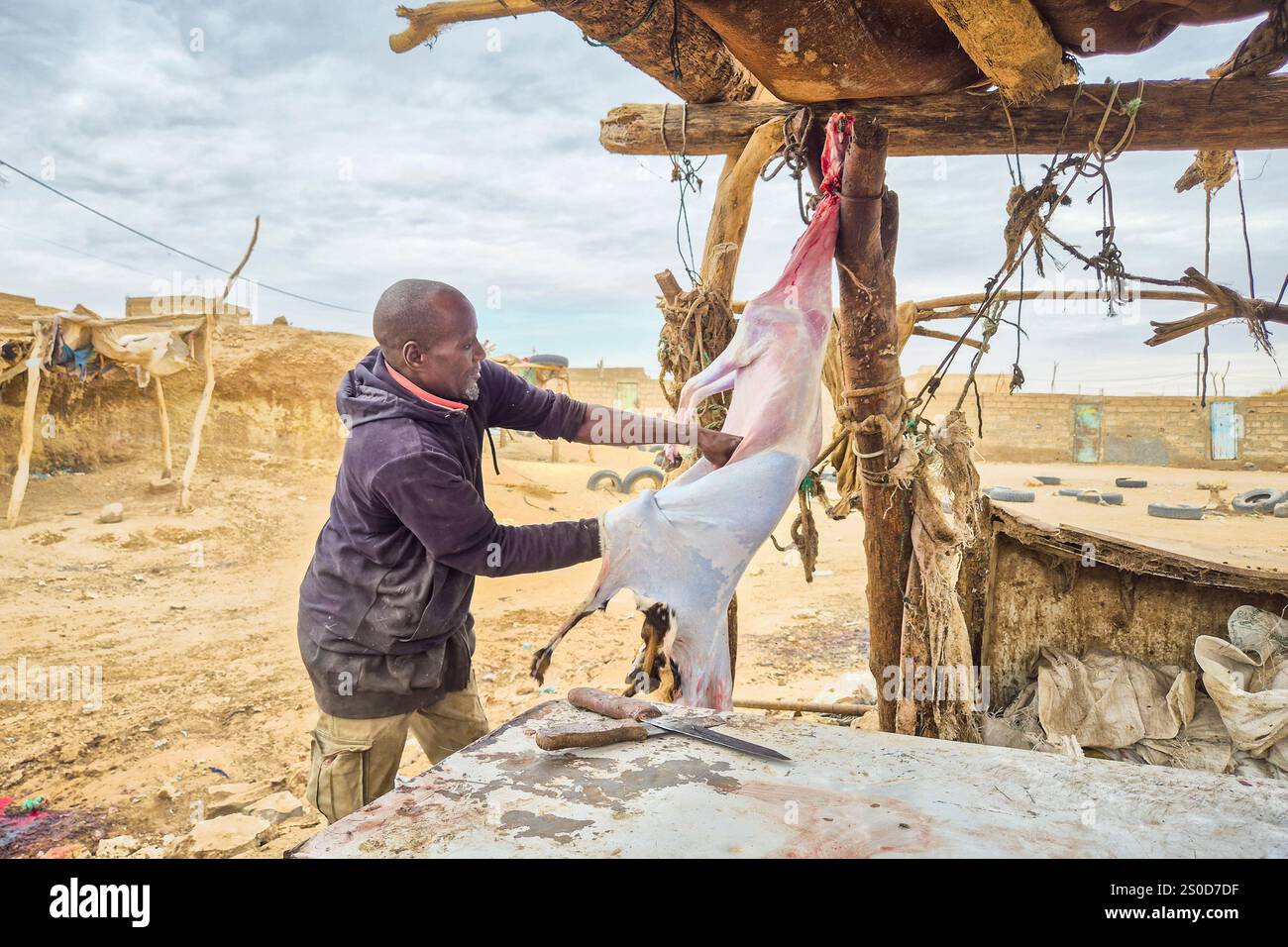 Mauritania, Atar, goat market, goat slaughter Stock Photo - Alamy