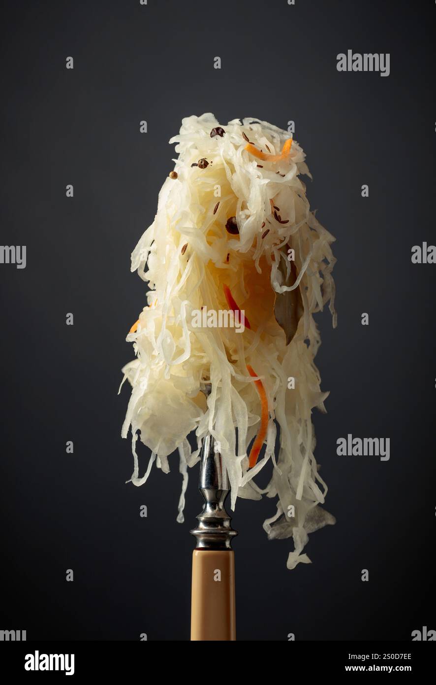 Traditional German sauerkraut with spices on a fork Stock Photo - Alamy