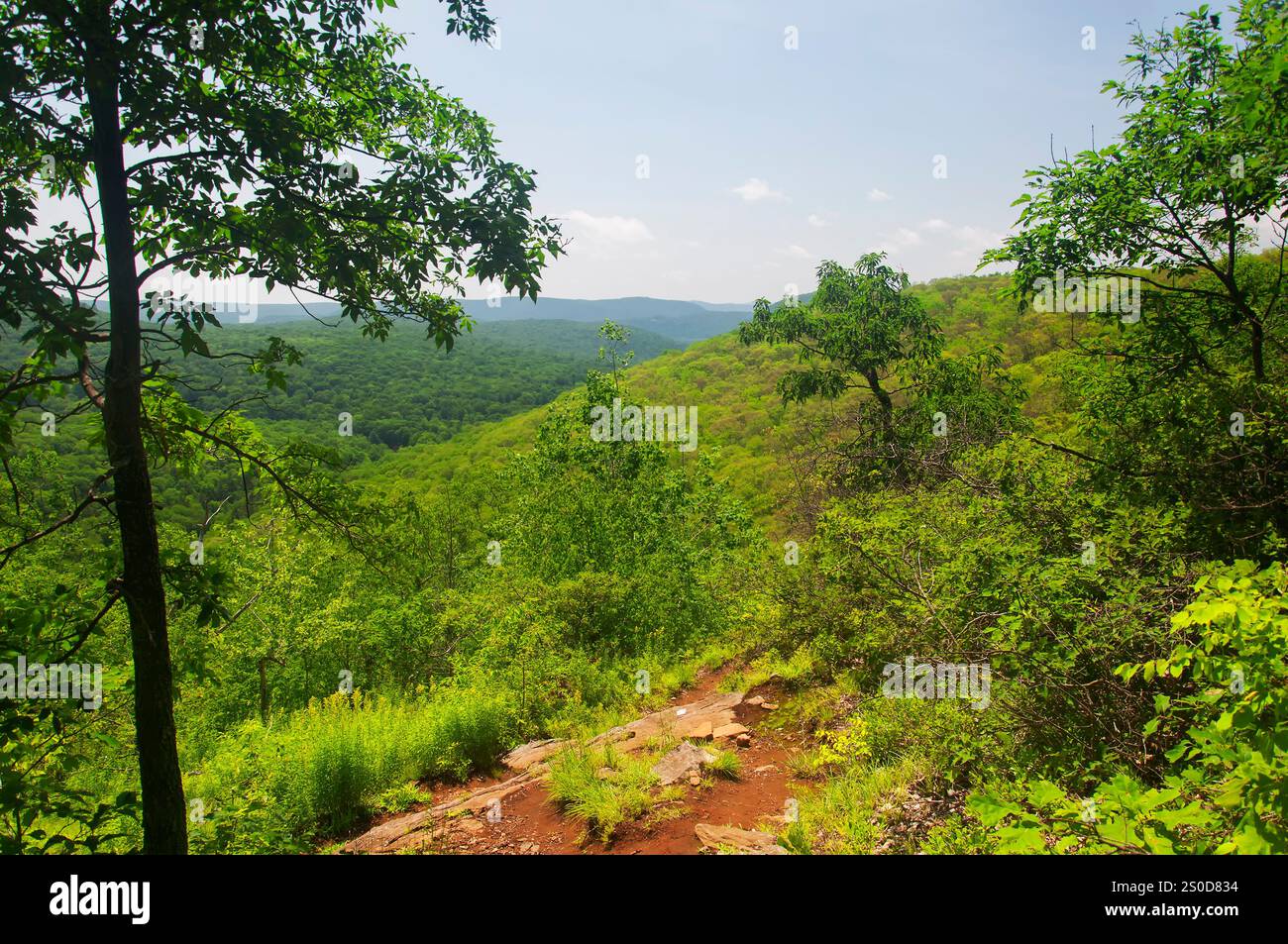 The macedonia ridge trail in Kent Connecticut on a summer day Stock ...