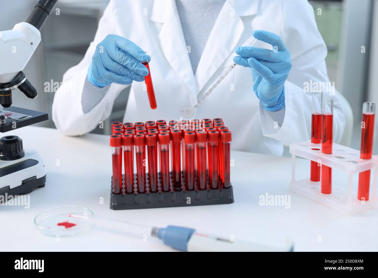 Laboratory testing. Doctor holding test tube with blood sample and ...