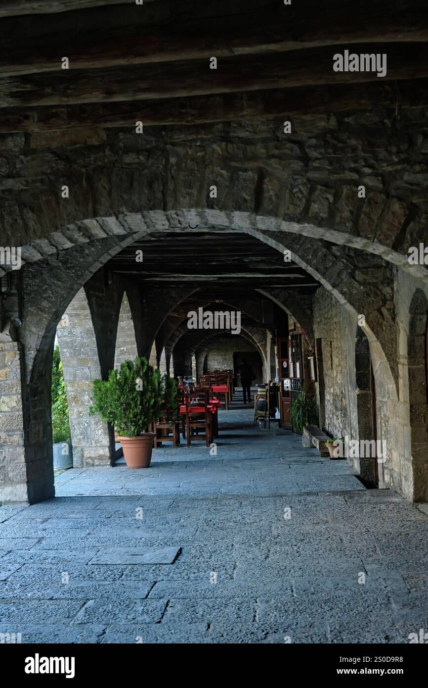 Medieval stone hallway with vaulted ceilings, potted plants and rustic ...