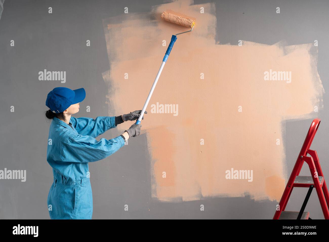 A female artist paints a wall with a paint roller. Painting the walls ...