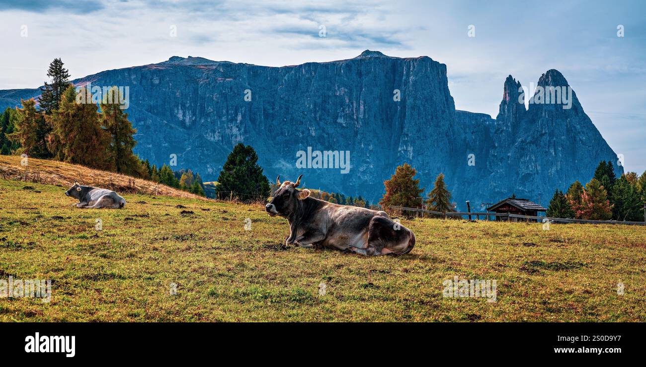 Panoramic view of the Schlern a mountain in the South Tyrolean ...
