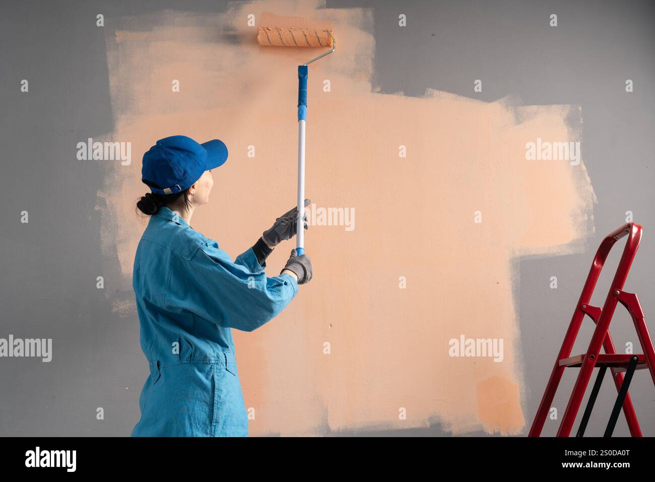 painter in work clothes paints wall with roller in light color. Repair ...