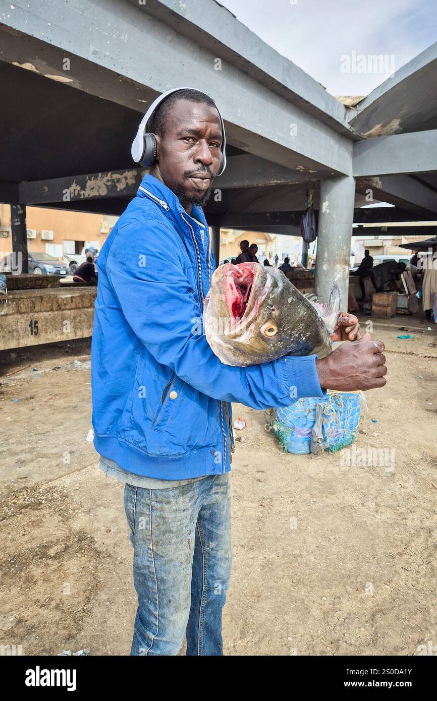 Mauritania, Nouakchott, fish market Stock Photo - Alamy