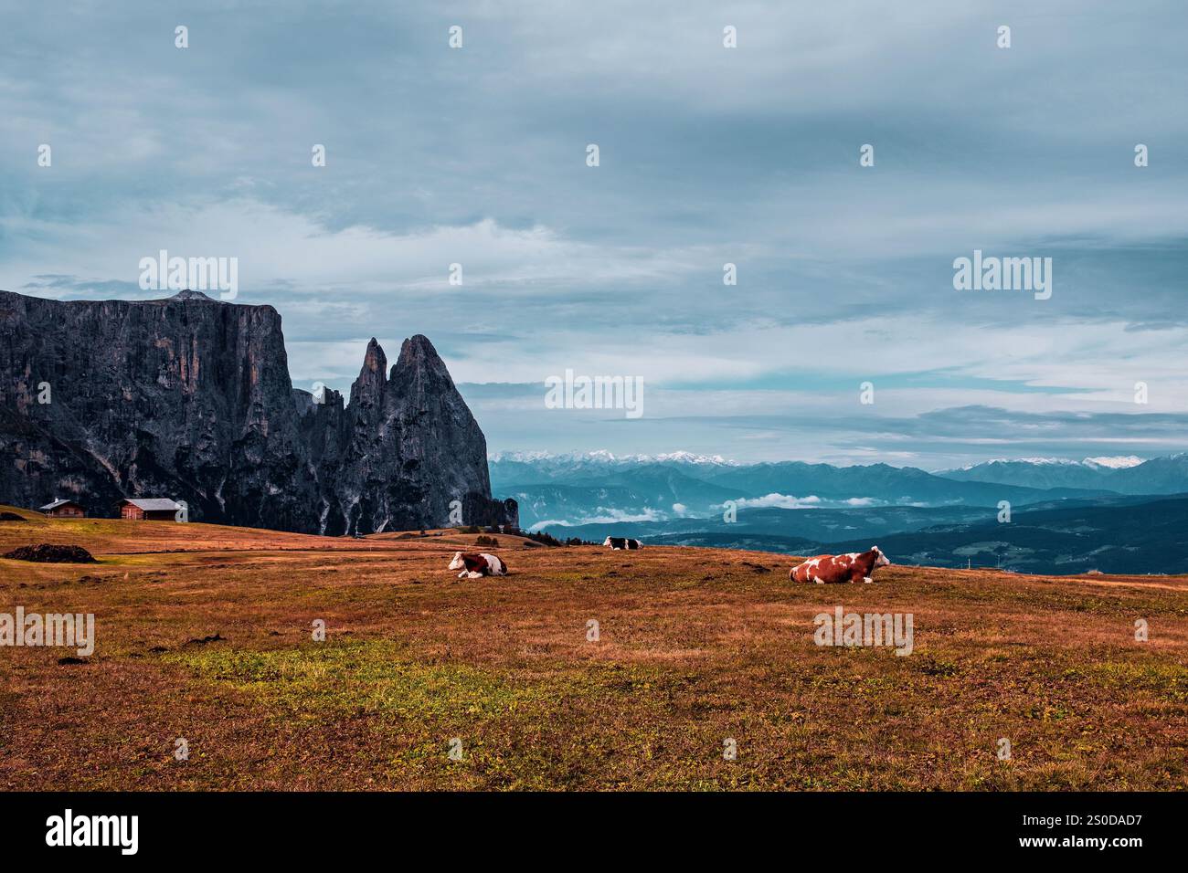 Panoramic view of the Schlern a mountain in the South Tyrolean ...