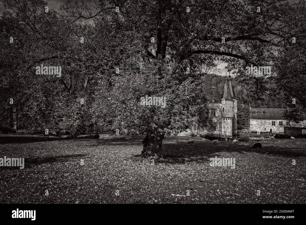Block at the Spontin Castle in Belgium Stock Photo - Alamy