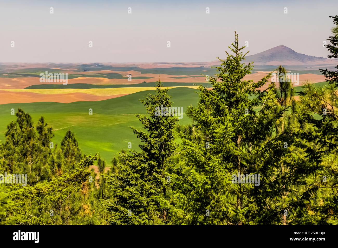 View from Kamiak Butte County Park toward Steptoe Butte in the Palouse ...