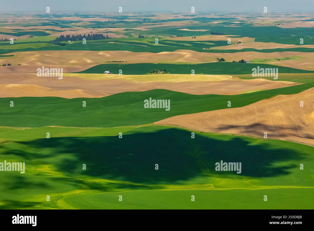View from Kamiak Butte County Park in the Palouse region, Washington ...