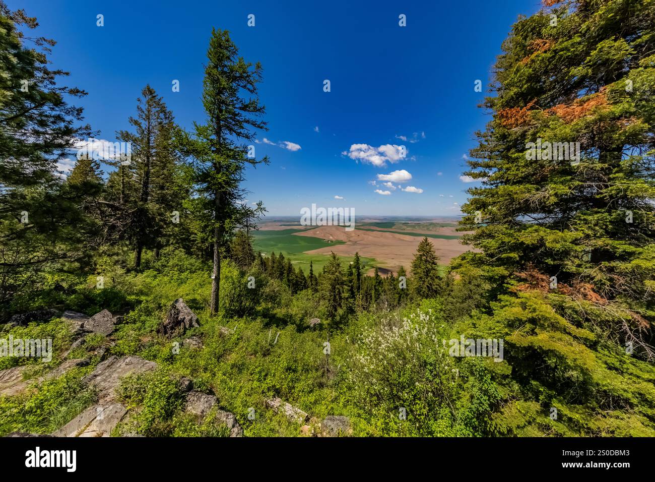 Trail atop high butte in Kamiak Butte County Park in the Palouse region ...