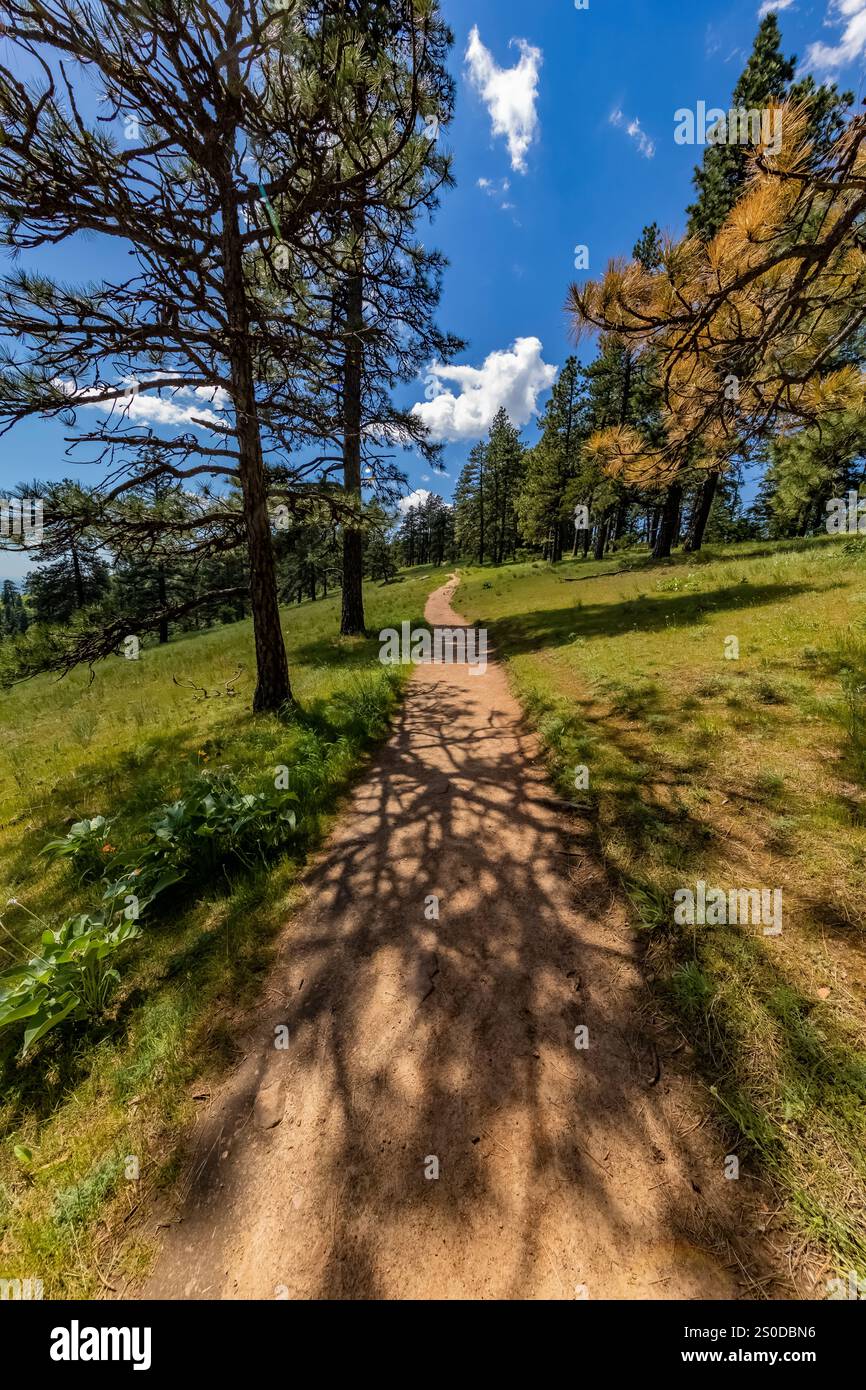 Trail atop high butte in Kamiak Butte County Park in the Palouse region ...