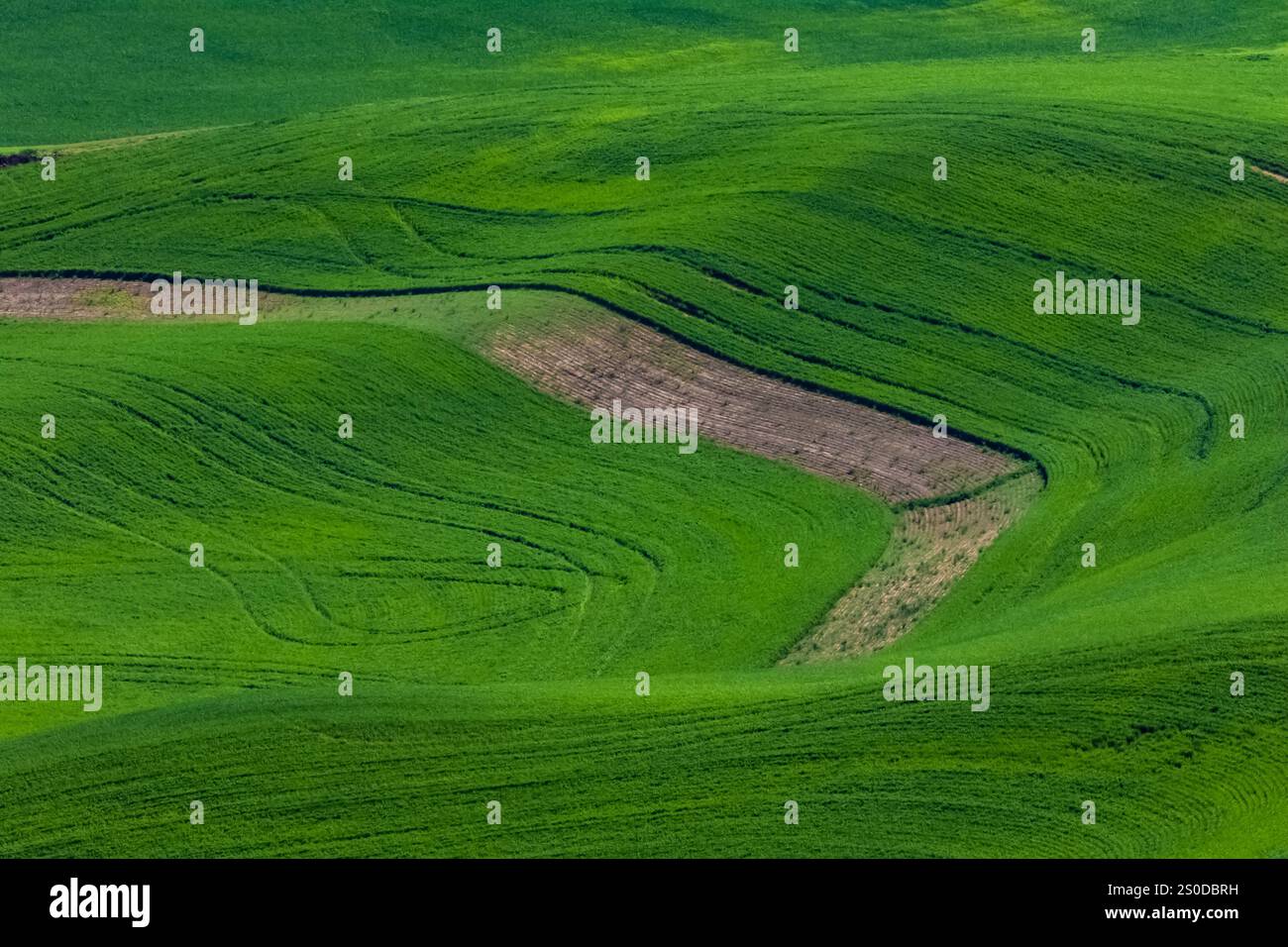 View from Kamiak Butte County Park in the Palouse region, Washington ...
