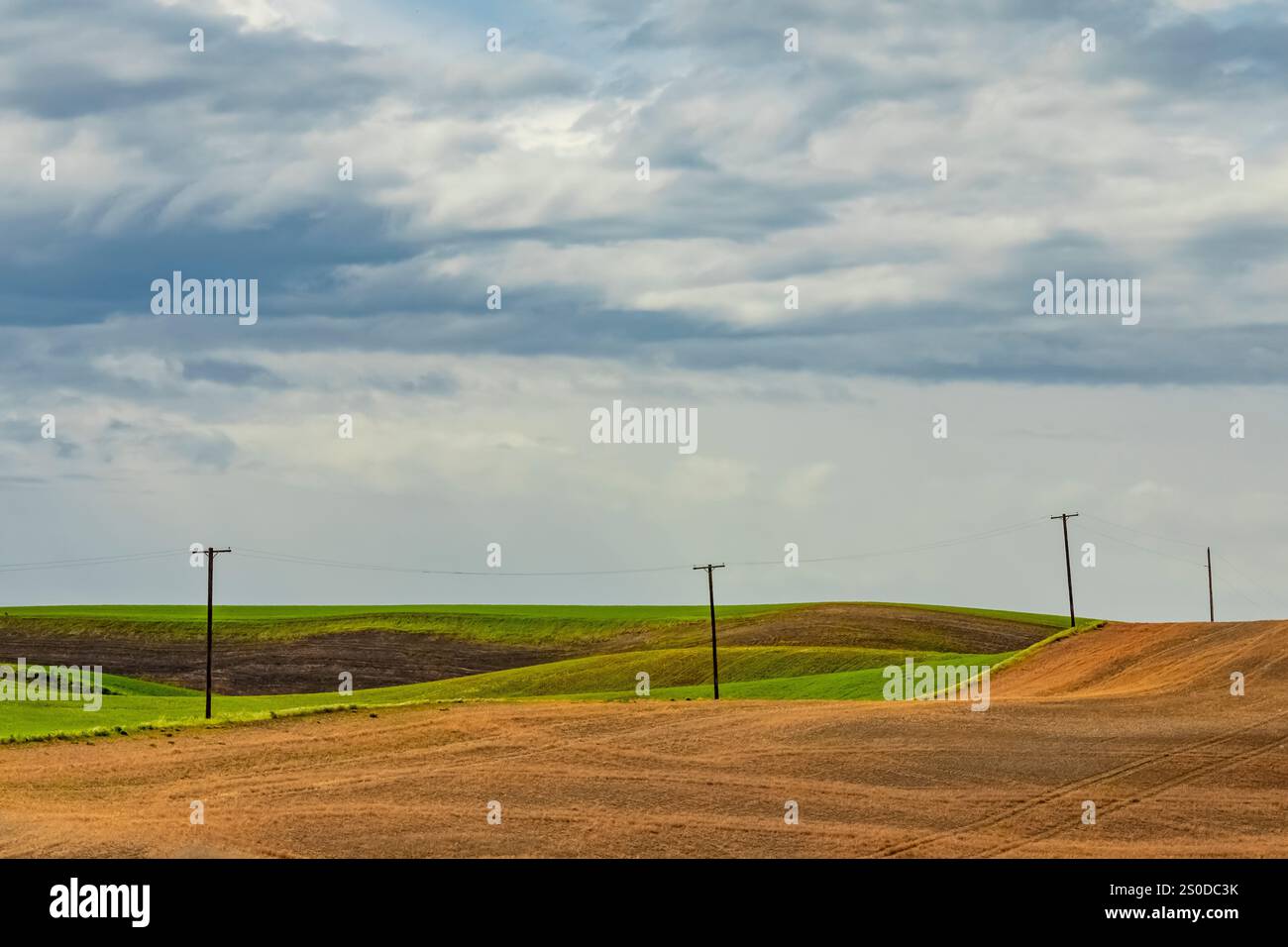 Rolling hills and wheat fields and a big sky in the Palouse region ...