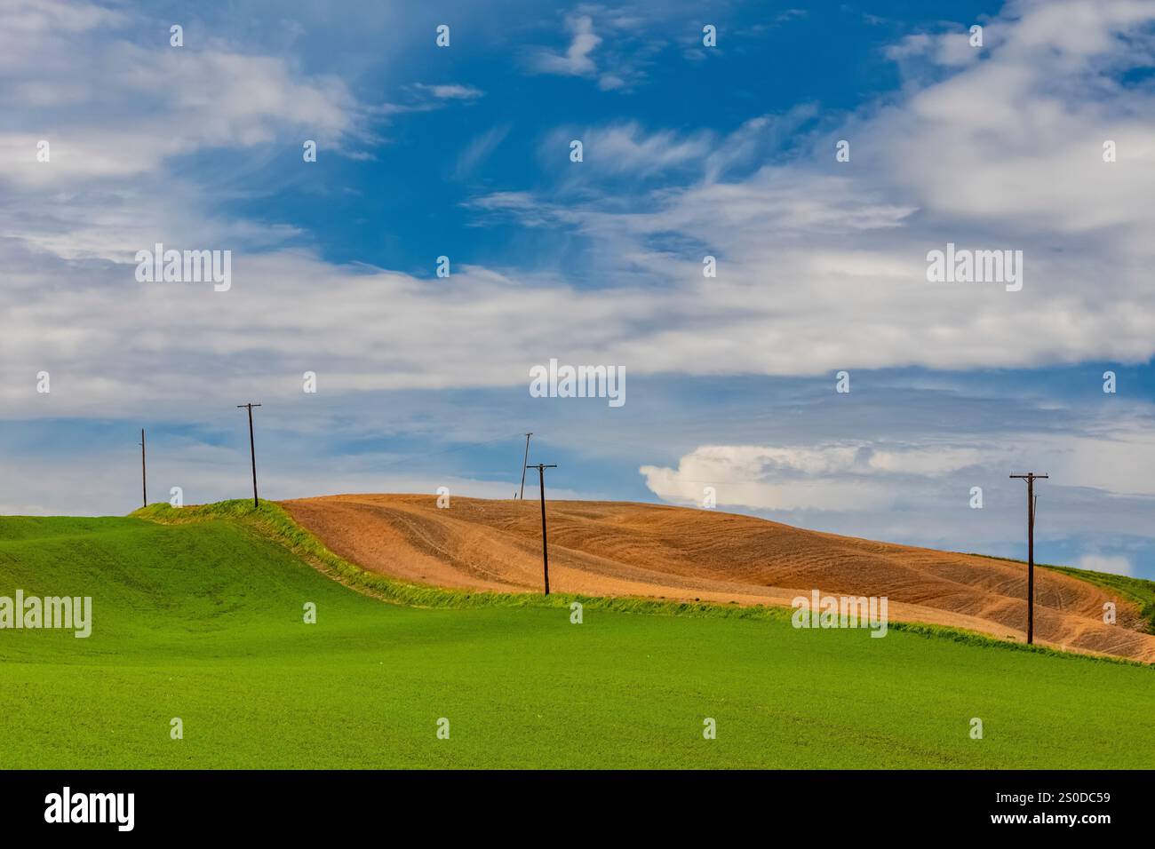Rolling hills and wheat fields and a big sky in the Palouse region ...