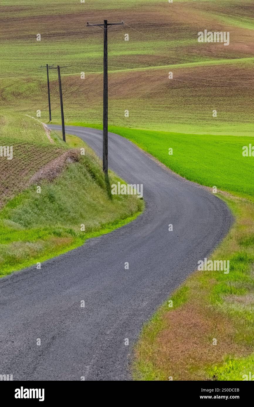 Back road winding through the Palouse region, with utility poles ...