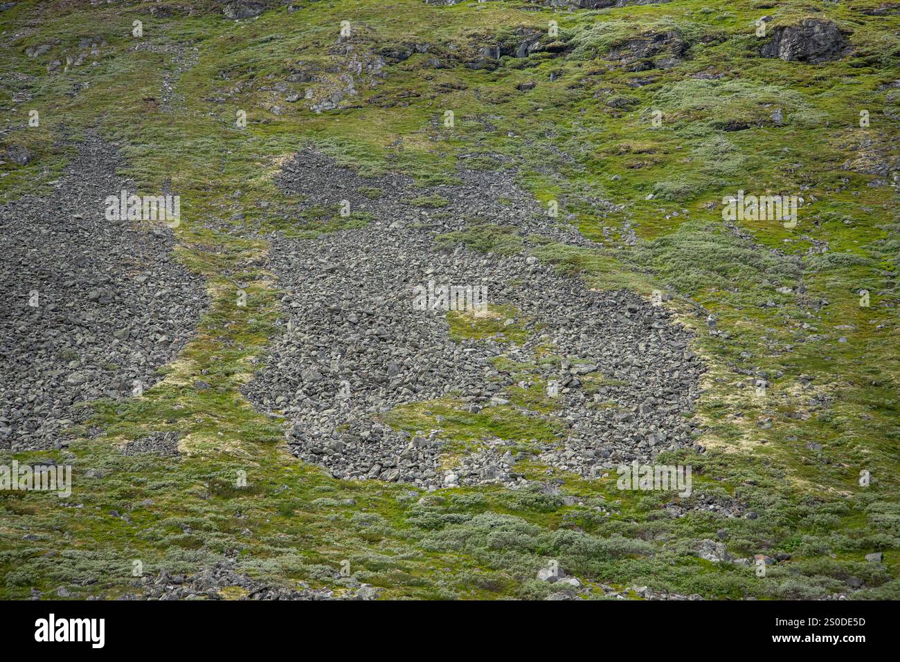 pile of rocks at the foot of a mountain with green grass. Formed from ...