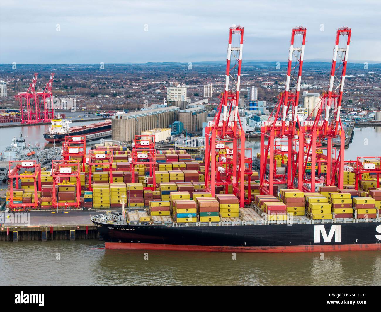 MSC Luciana container ship loading at Liverpool2 deep water terminal on ...