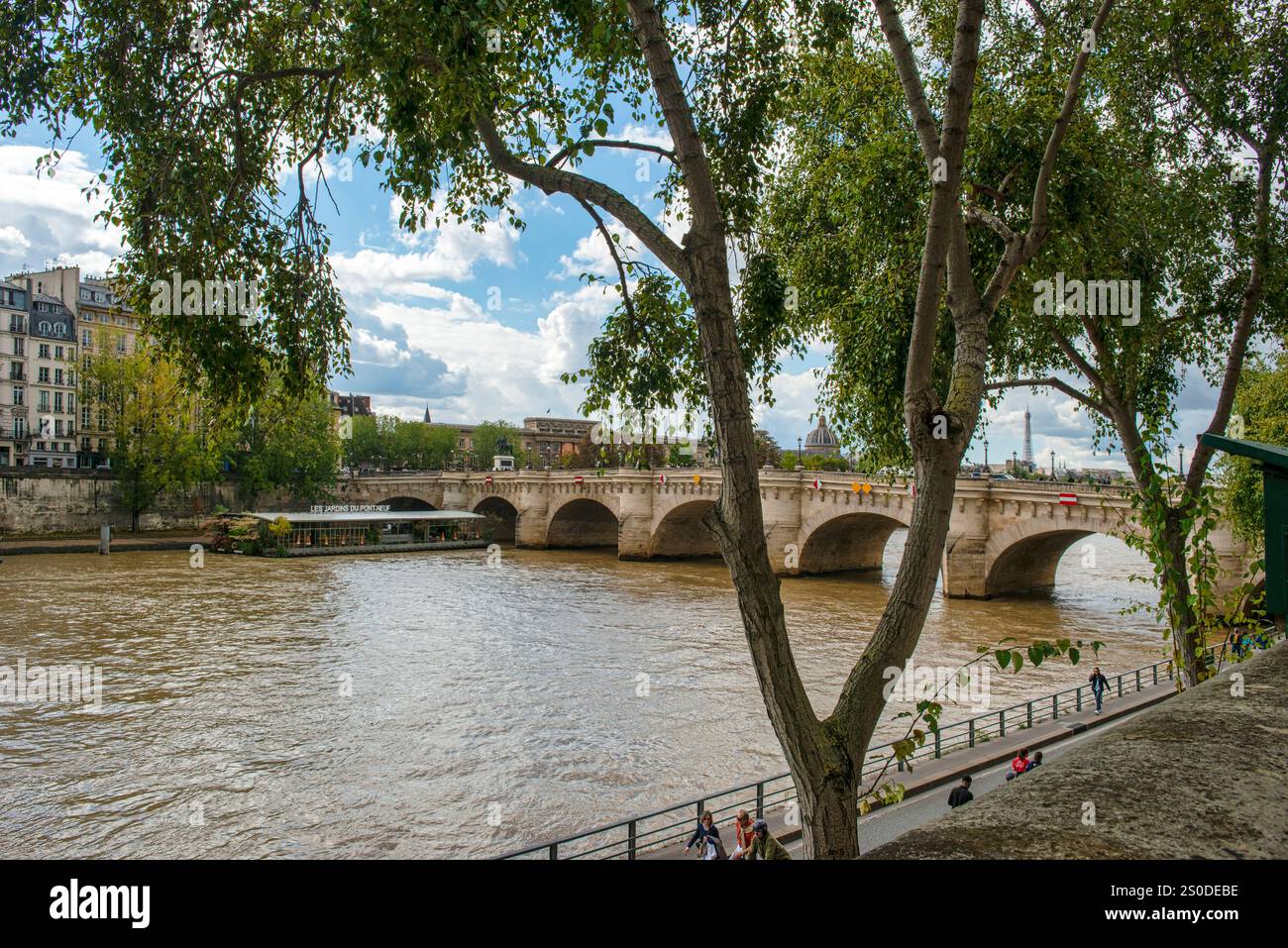 The Pont Neuf bridge over the River Seine in Paris, France Stock Photo ...