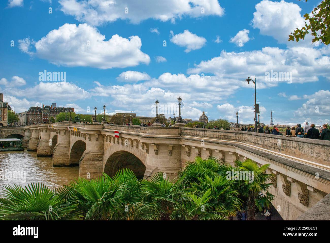 The Pont Neuf bridge over the River Seine in Paris, France Stock Photo ...