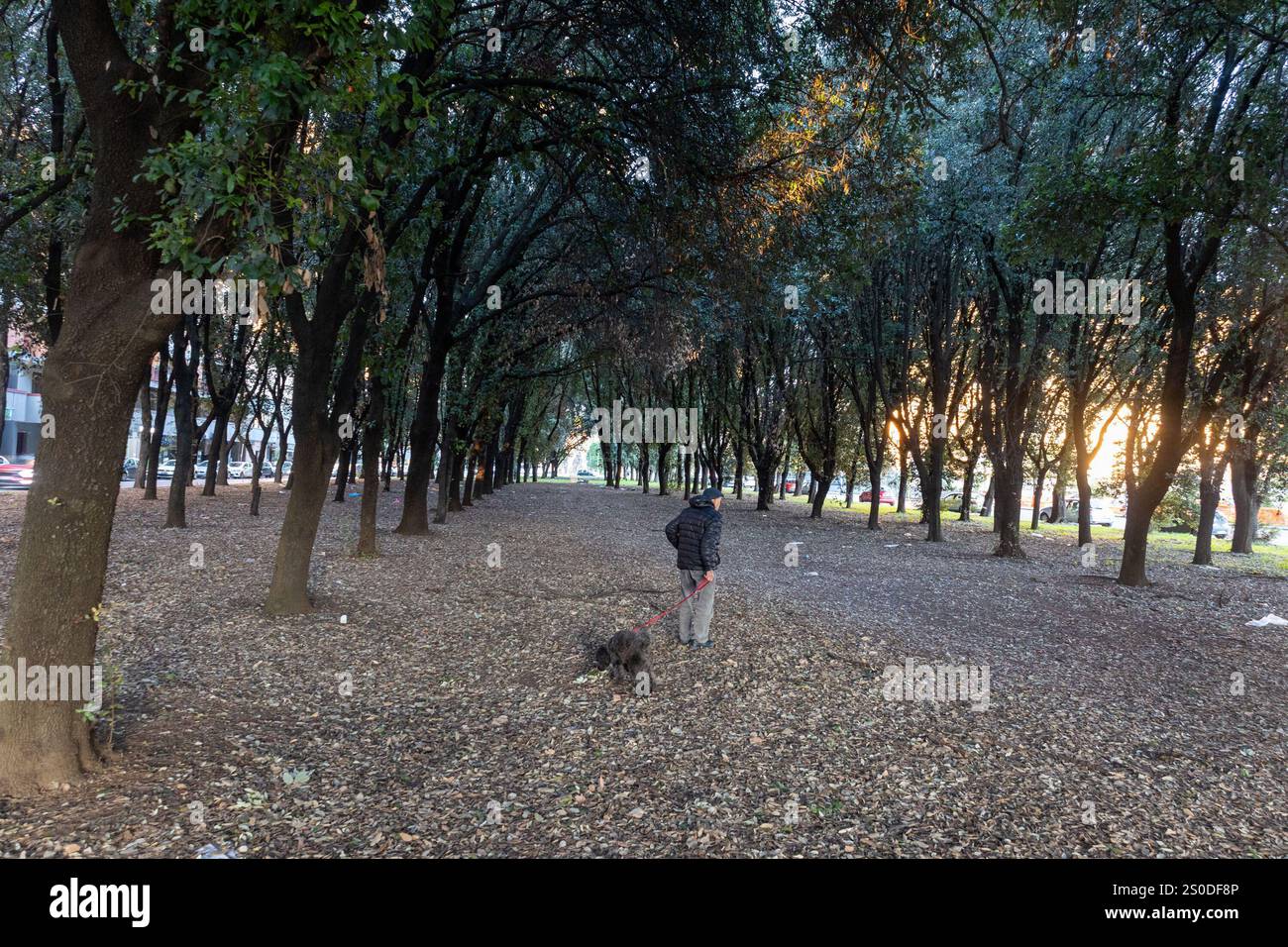 Colli Aniene, Italia. 11th Dec, 2024. Parco Livio Labor, Colli Aniene ...