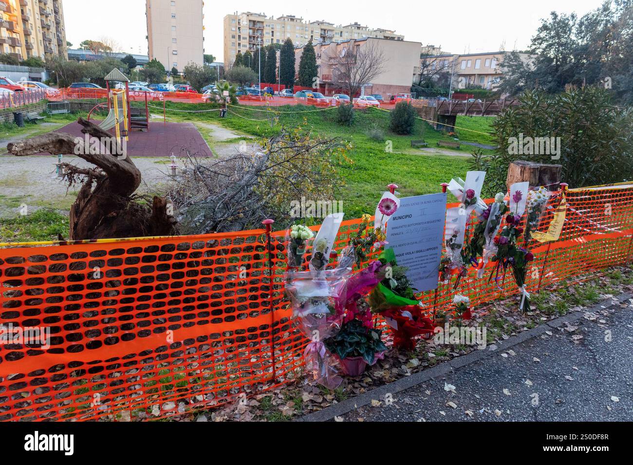 Colli Aniene, Italia. 11th Dec, 2024. Parco Livio Labor, Colli Aniene ...