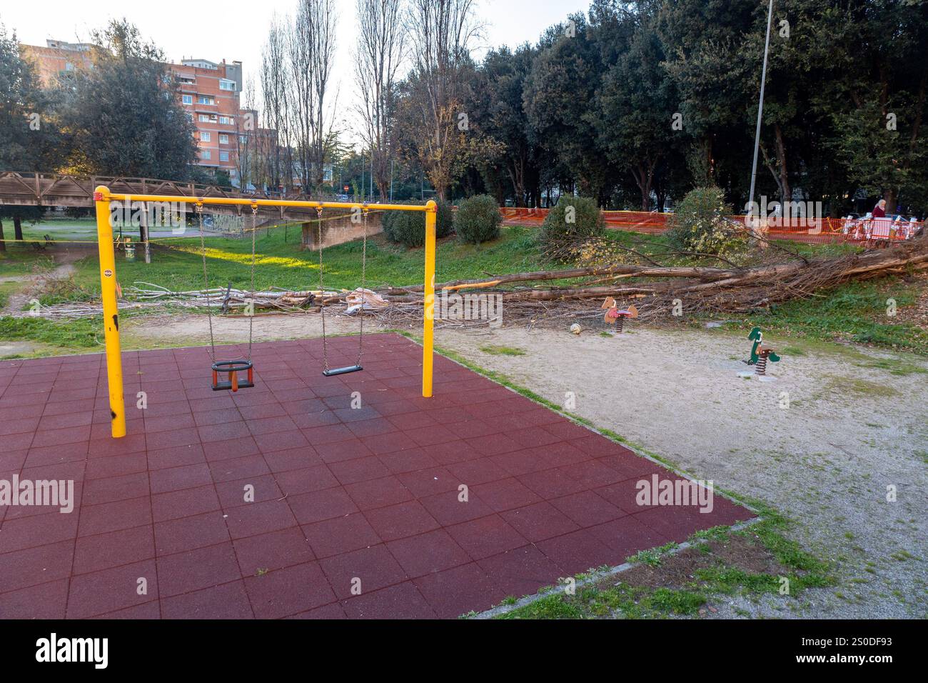 Colli Aniene, Italia. 11th Dec, 2024. Parco Livio Labor, Colli Aniene ...