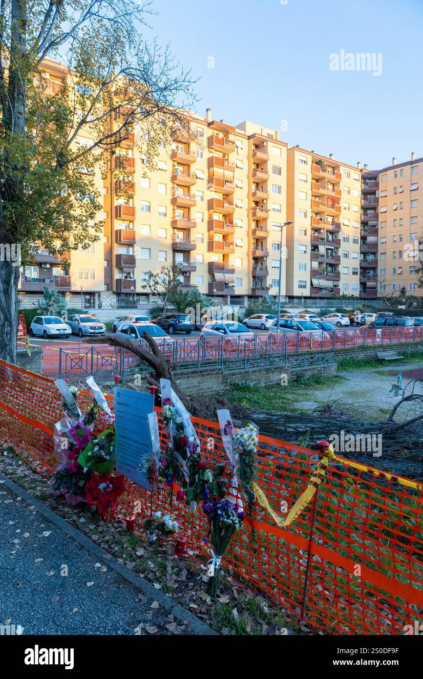 Colli Aniene, Italia. 11th Dec, 2024. Parco Livio Labor, Colli Aniene ...