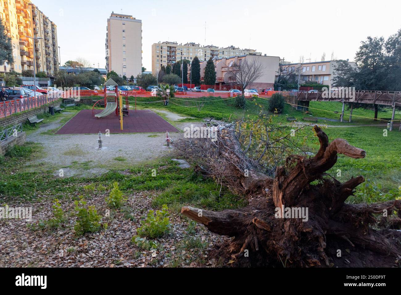 Colli Aniene, Italia. 11th Dec, 2024. Parco Livio Labor, Colli Aniene ...